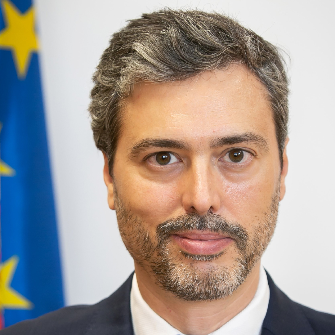 Nota biográfica – Luís Goes Pinheiro – CIM – Região de Coimbra